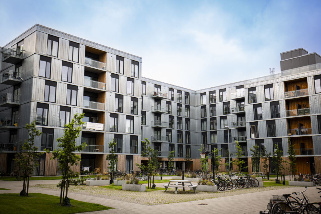 HI:LIFE - Taasinge Elementer