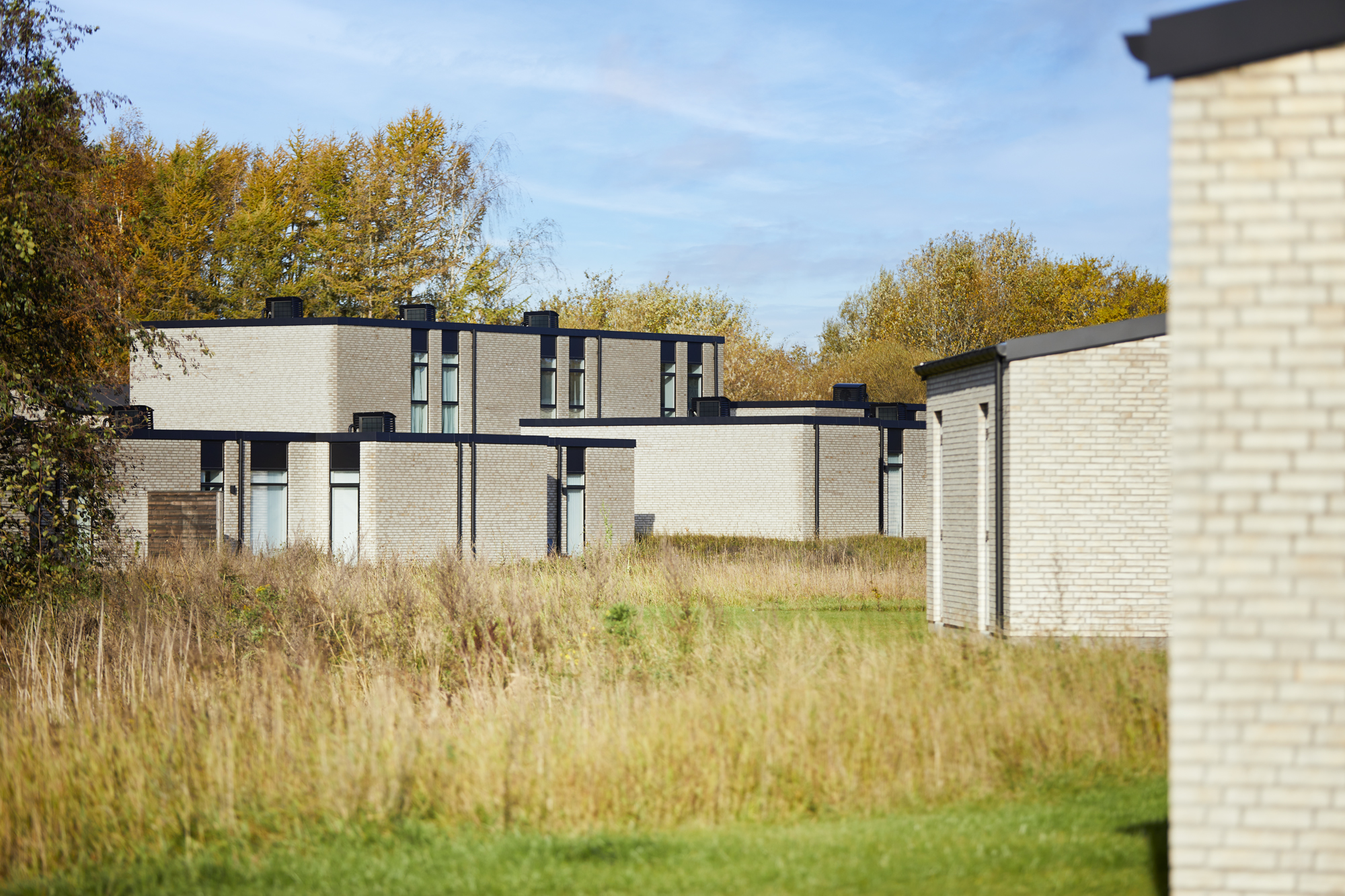 ENGDRAGET - Taasinge Elementer